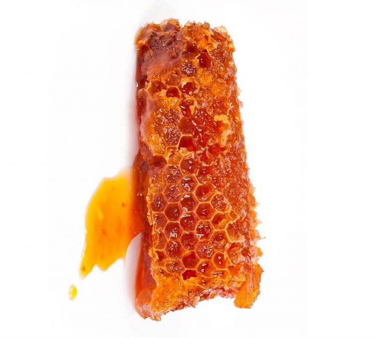 Própolis | Sustancia natural contra bacterias y virus (resfriado y gripe)